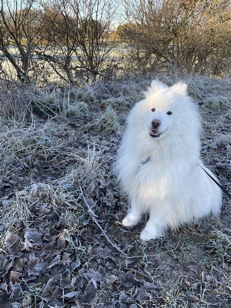 Phil Situmorang On Linkedin I Need Your Opinions On Something Quite Unexpected And Not