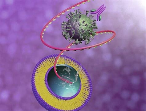 El Conocimiento Religioso Una Exploración De Su Concepto