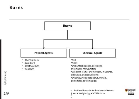 Burns Blackbook Blackbook