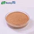 Alkaline Protease China Manufacturer Safety Products Security