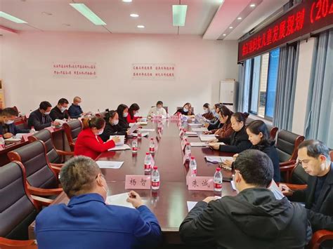 合江县召开妇女儿童发展规划（2021 2030年）专家评审会澎湃号·政务澎湃新闻 The Paper