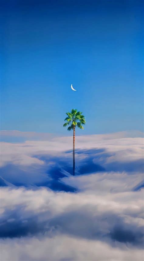 Iphone 13 Pro And Iphone 13 Pro Max Wallpapers In 2021 Iphone