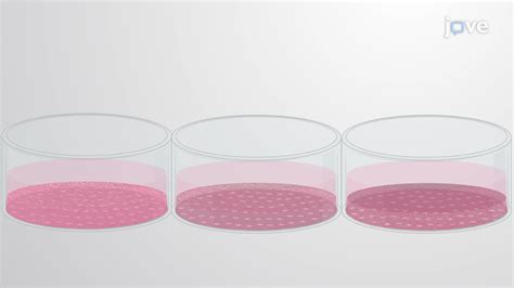 Insoluble Chromogenic Biomass Based Enzyme Screening An Assay To Evaluate The Degradation
