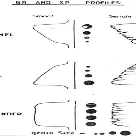 Gamma Ray And Sp Log Profiles Showing The Basic Shapes Of Facies After Download Scientific