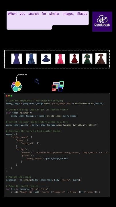 🚀 Boost Your Image Search With Elasticsearch Vectors 🔍🧠 Youtube