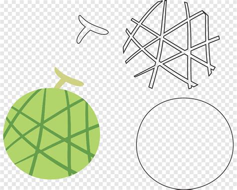 Muskmelon Molde Fruit Matrijs 카람 볼라 각도 잎 Png Pngegg