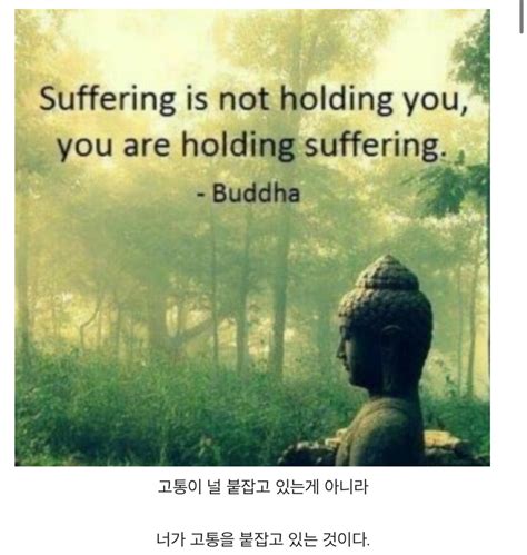 마음이 힘들때 보는 불교 명언 모음  포텐 터짐 최신순 에펨코리아