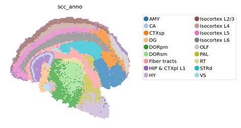 2 Combined Visualization Of Domains And Segmented Cells Spateo