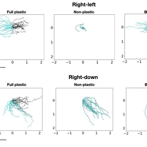 Trajectories Of The Best Organism In The Last Generation Of Each