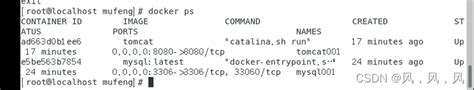 用docker相关操作，进行docker中应用栈搭建tomcat容器mysql容器，使用docker相关操作进行docker中应用栈