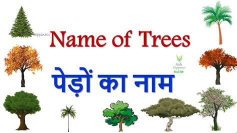 Names Of Indian Trees