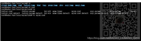 Nginx配置实例 反向代理实现浏览器请求nginx跳转到服务器某页面浏览器请求路径怎么在服务器配置跳转哪个页面 Csdn博客
