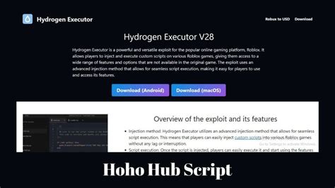 Get Ahead In Blox Fruits With Hoho Hub Script Features Safety And