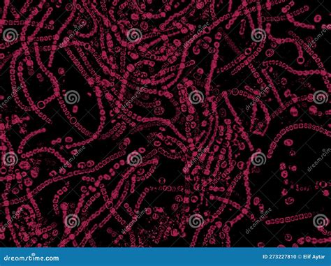 Probiotics Lactic Acid Bacteria Bacteria And Microorganisms Stock