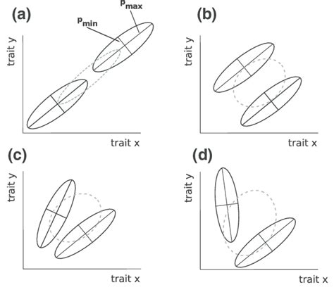 Schematic Representation Of Different Hybridization Scenarios Between Download Scientific