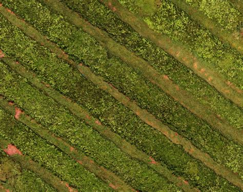 Error Mesh Is Empty General Help Opendronemap Community