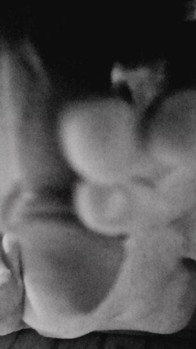 Seks Persendirian Xhamster