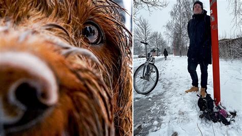 Lågintensivt Bajskrig I Örebro Hundägare Vs Kommunen P4 Örebro Sveriges Radio