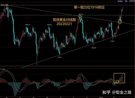20220221金银交易思路 避险情绪主导市场，黄金走出趋势行情！ 知乎