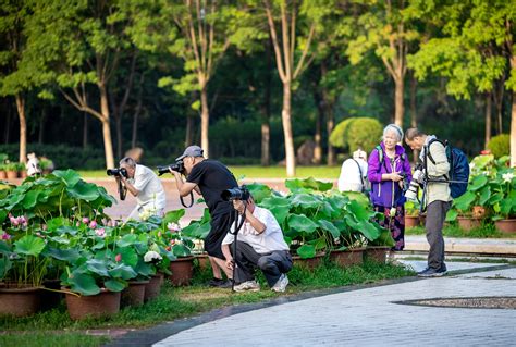 拍花人 山鹰lt的博客 PhotoFans摄影网