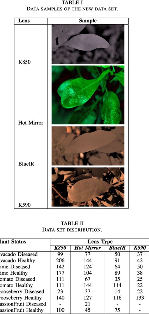 table ii from plant disease detection using vision transformers on multispectral natural