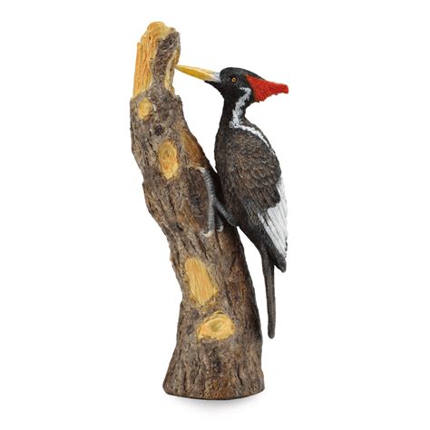 Woodpecker Png
