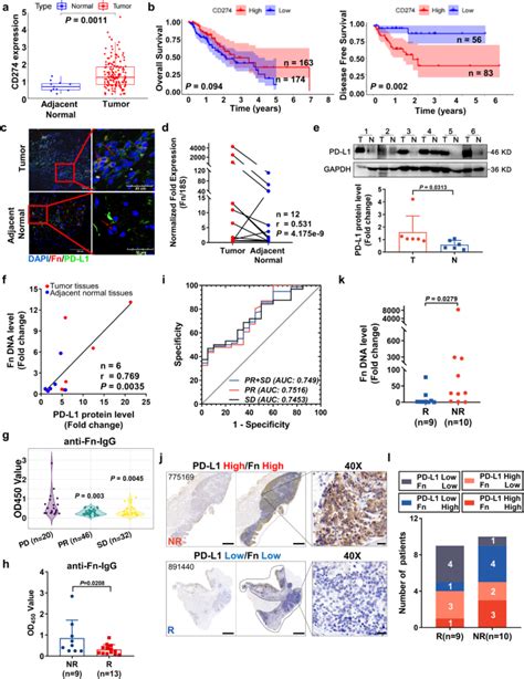 细胞内具核梭杆菌感染减弱食管鳞状细胞癌的抗肿瘤免疫力nature Communications X Mol