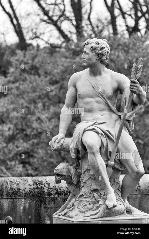 Adonis Statue