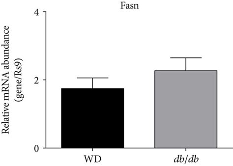 livers from db db mice displayed enhanced expression of glucose