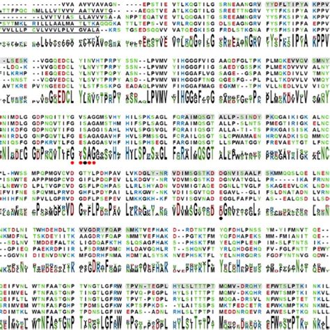 Multiple Protein Sequence Alignment Of Crustacean Juvenile Hormone