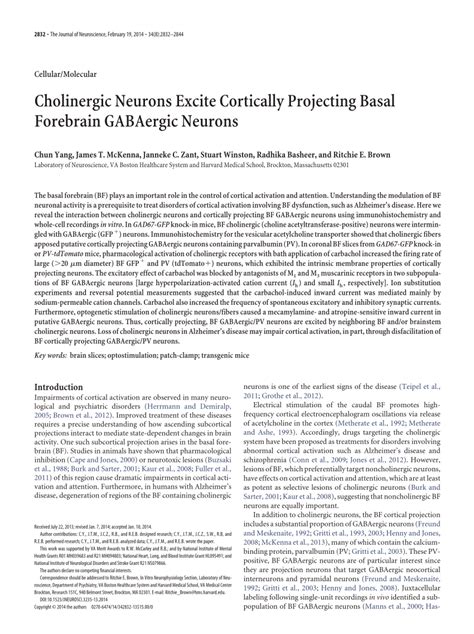 Pdf Cholinergic Neurons Excite Cortically Projecting Basal Forebrain