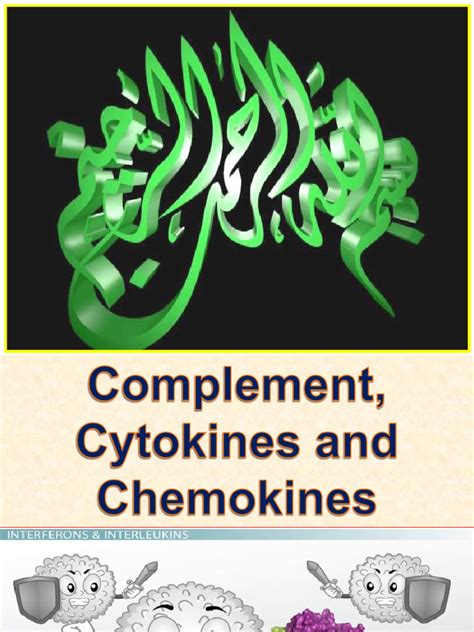 5 Lecture Immunology Complement Cytokines And Chemokines Updated Pdf Complement System