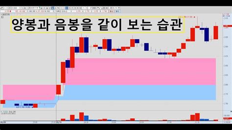 음양의 조화는 자연법칙에만 있는 것이 아니다 Feat양봉음봉 콤비 Youtube