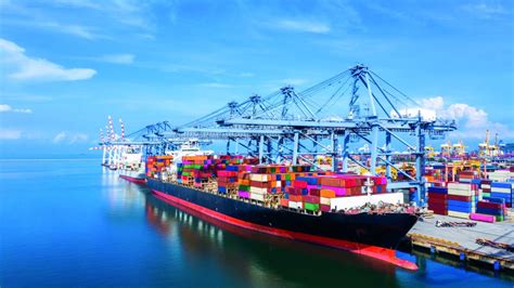 Container Optimisation Maximising Efficiency Logistics Outlook
