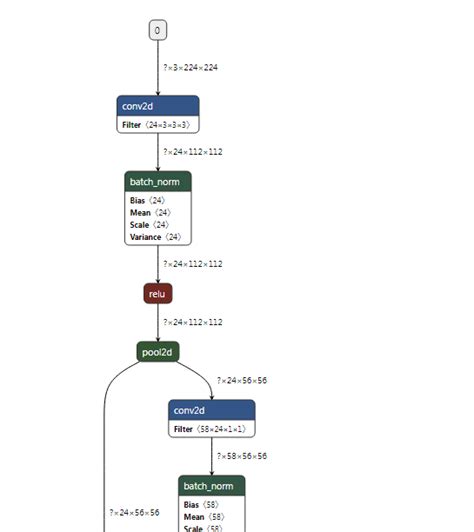 infer shape似乎有问题 Issue 51675 PaddlePaddle Paddle GitHub