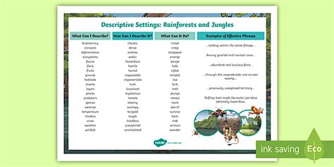 Editable Ks2 Descriptive Setting Word Mat Rainforests And Jungles