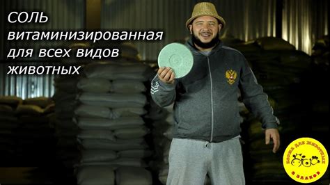Соль витаминизированная для животных. - YouTube