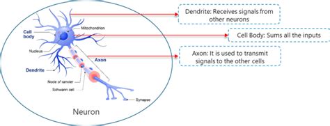 Artificial Intelligence With Python Build Ai Models Using Python Edureka