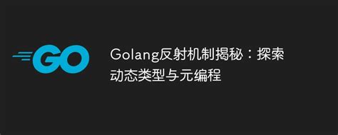 Golang反射机制揭秘:探索动态类型与元编程 叮当号 Golang反射机制揭秘:探索动态类型与元编程 叮当号