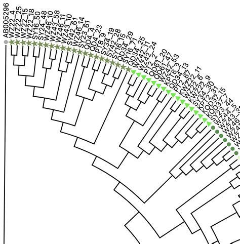 Dataset Layer · Gitbook
