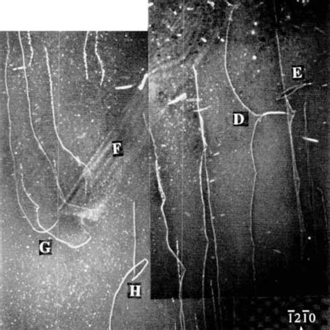 Dislocation Dipoles And Loops Trailed By C þ 2 A Superdislocations