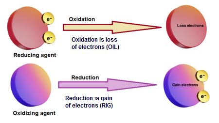 Oxidation Reduction Metabolism Effects Function Lesson Study Com