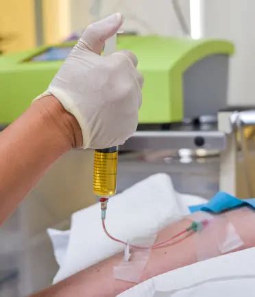 Stem Cell Transplant Survival Rate Everything You Need To Know Medical Tourism Review Board