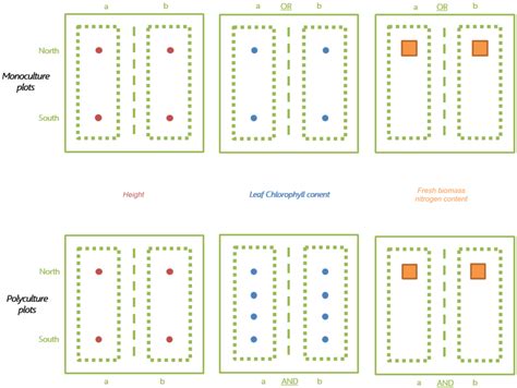 Schematic Overview Of Individual Plots And The Approximated Location At Download Scientific