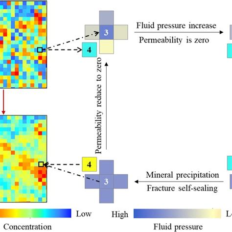 Cluster Size Distribution And Fit Of Correlation Relationship Between