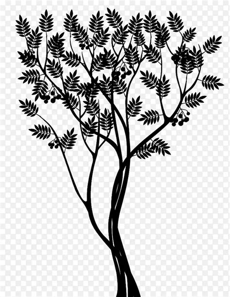 小枝植物茎叶花轮廓PNG图片素材下载 图片编号6569002 PNG素材网