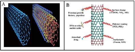 A Schematic Drawing Of A Single And Multi Walled Carbon Nanotube B