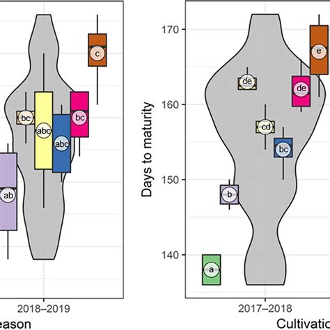 Boxplots Overlaid On Violin Plots Showing Flowering And Maturation