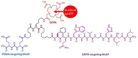 Development Of Heterobivalent Theranostic Probes Having High Aﬃnity