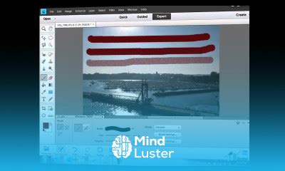 Learn Learn How To Use Photoshop Elements 11 Part 54 Using Painting